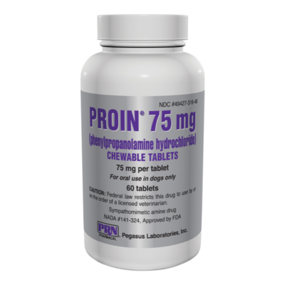 dog is peeing a lot | Great Pet Care