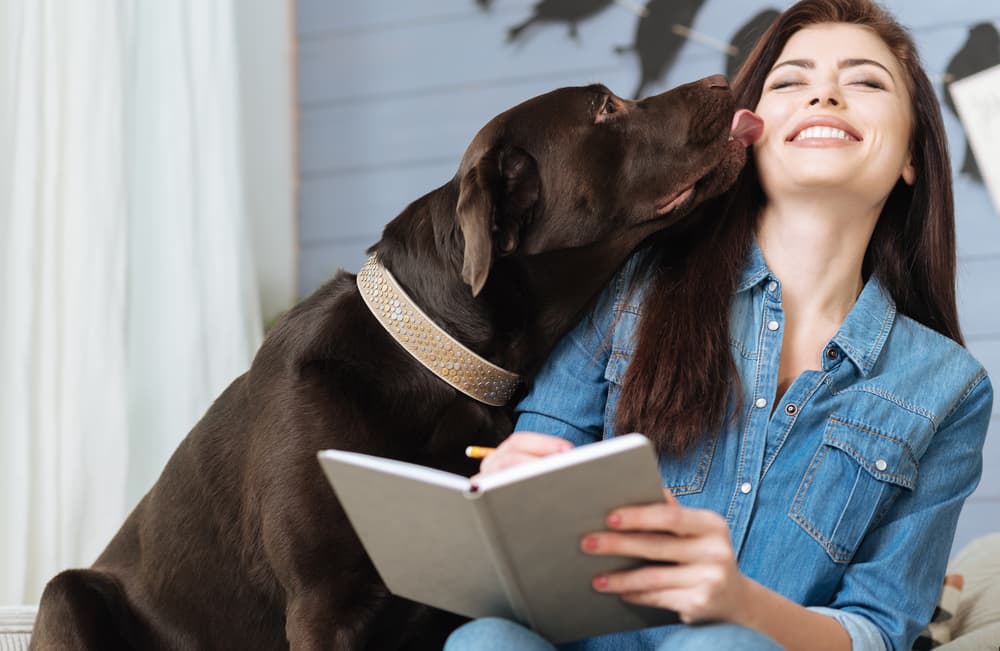 How Do Dogs Show Affection? 9 Surefire Signs | Great Pet Care
