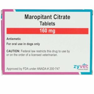 Dog Nausea: 8 Signs and How to Treat It | Great Pet Care