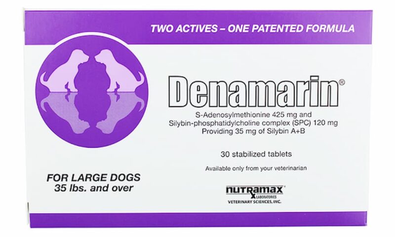 5 Beneficial Liver Supplements for Dogs | Great Pet Care