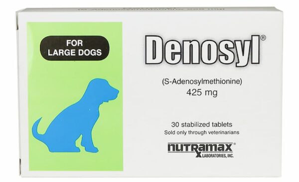 5 Beneficial Liver Supplements for Dogs | Great Pet Care