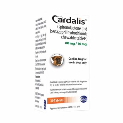 Heart Medicine for Dogs: 9 Vet-Prescribed Options | Great Pet Care