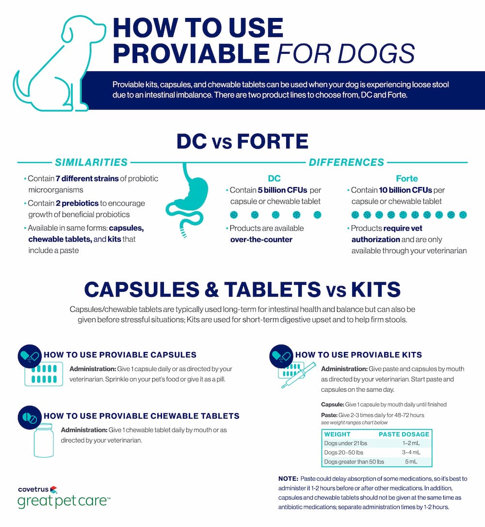Proviable for Dogs Buying Guide: Chewables, Capsules, and Paste | Great ...
