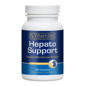 5 Beneficial Liver Supplements for Dogs | Great Pet Care