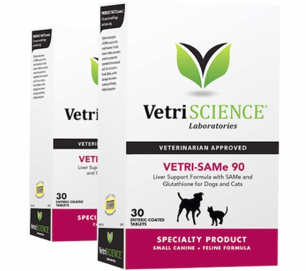 5 Beneficial Liver Supplements for Dogs | Great Pet Care