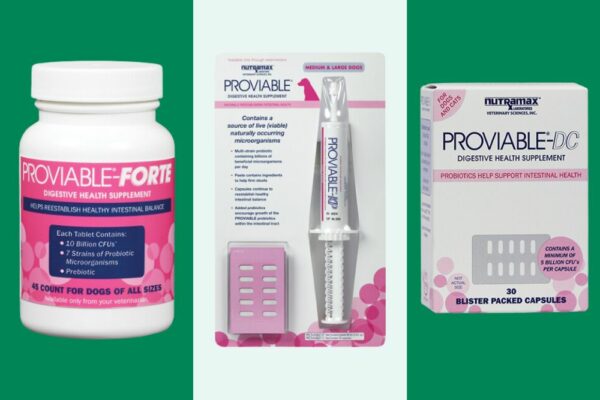Proviable for Dogs Buying Guide: Chewables, Capsules, and Paste | Great ...