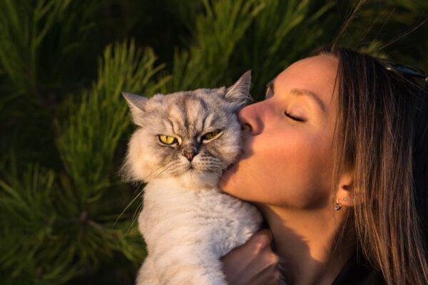 Cat Trilling: Why They Do It and What It Means | Great Pet Care