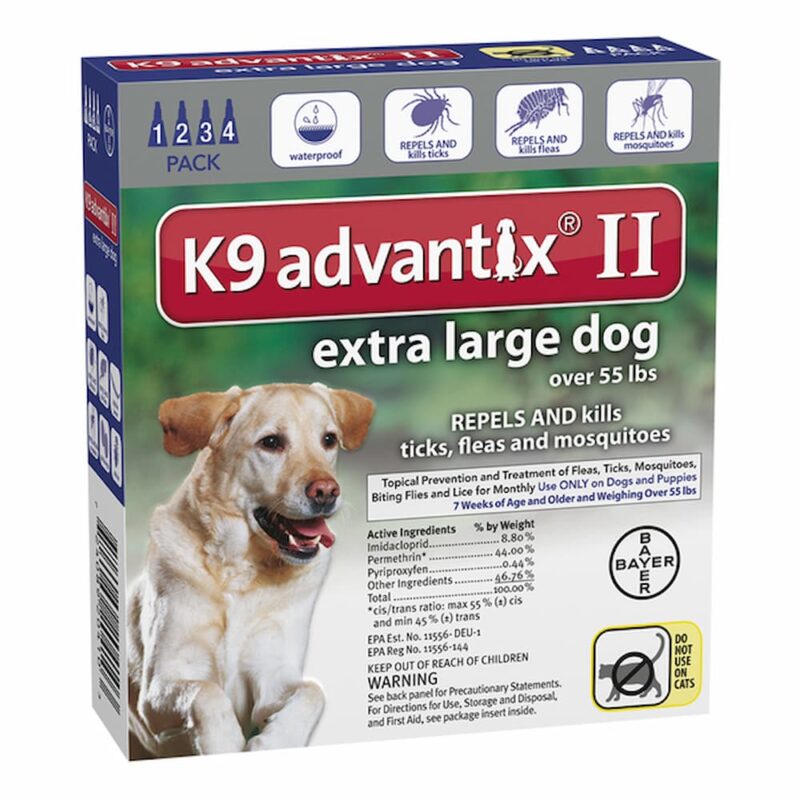 Best Tick Prevention for Dogs: Vet-Approved Picks | Great Pet Care