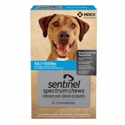 Best Heartworm Medicine for Dogs | Great Pet Care
