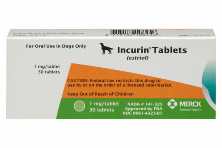 5 Dog Incontinence Medications That Could Help | Great Pet Care