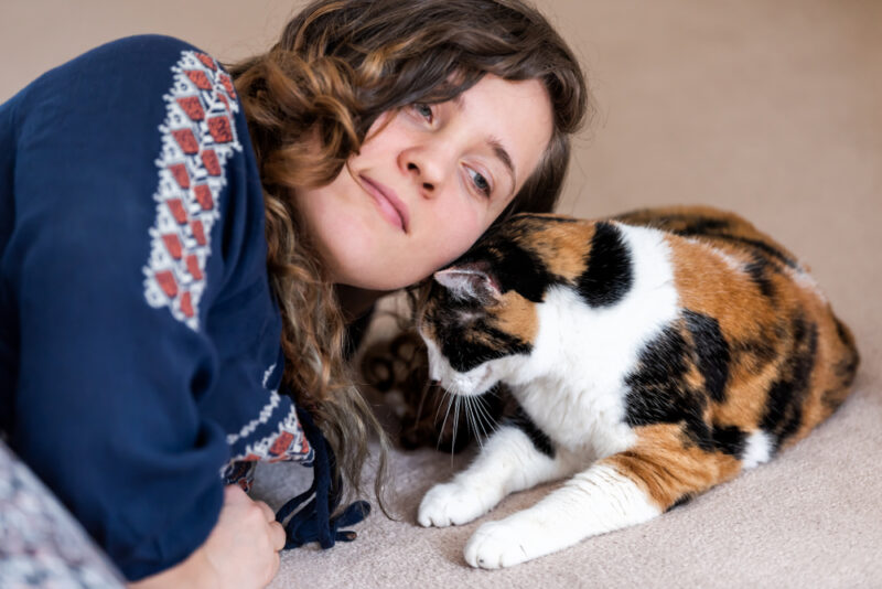 Why Does My Cat Headbutt Me? | Great Pet Care
