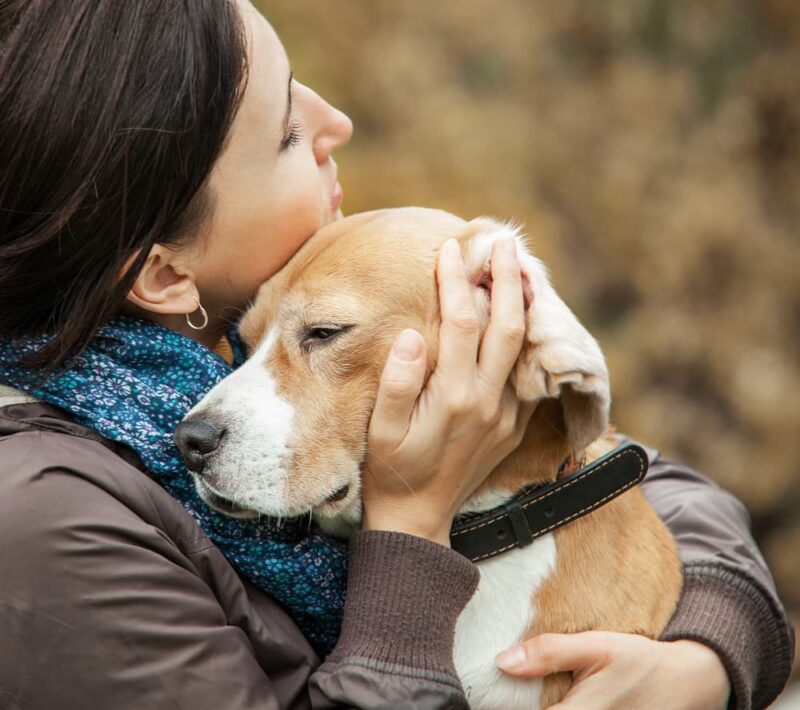 Dog Choking: What to Do and How to Prevent It | Great Pet Care