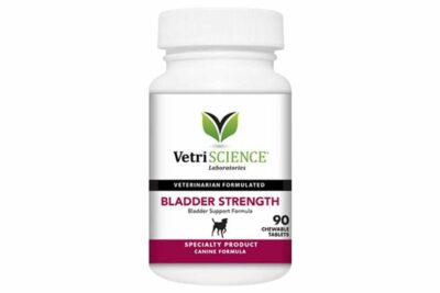 5 Dog Incontinence Medications That Could Help | Great Pet Care