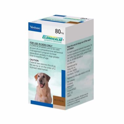 Dog Anxiety Medication: 12 Options to Consider | Great Pet Care