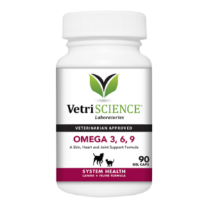 Omega 3 for Cats: Benefits and Supplements | Great Pet Care