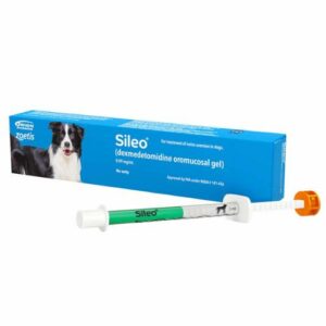 Dog Anxiety Medication: 12 Options to Consider | Great Pet Care