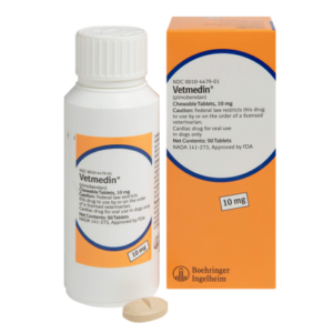 Normal Dog Heart Rate: What Should It Be? | Great Pet Care