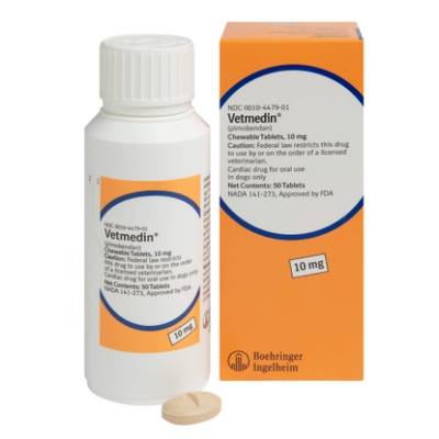 Normal Dog Heart Rate: What Should It Be? | Great Pet Care