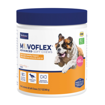 7 Hip and Joint Supplements for Dogs | Great Pet Care