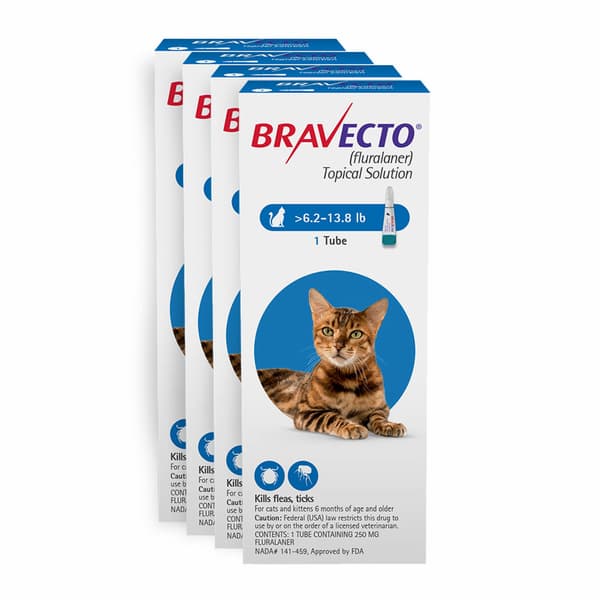 Bravecto for Cats | Great Pet Care