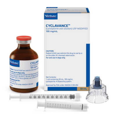 8 Apoquel Alternatives for Dogs | Great Pet Care