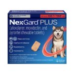 7 Dog Heartworm Symptoms You Shouldn't Ignore | Great Pet Care