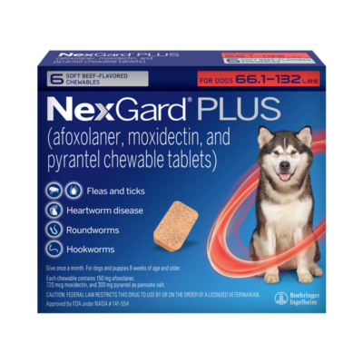 7 Dog Heartworm Symptoms You Shouldn't Ignore | Great Pet Care