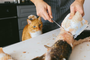 15 Poisonous Foods for Cats | Great Pet Care