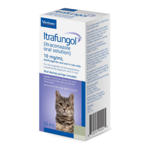 How Can I Soothe My Cat’s Itchy Skin? | Great Pet Care