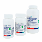 Dog Pain Relief: Medications and Tips to Ease Discomfort | Great Pet Care