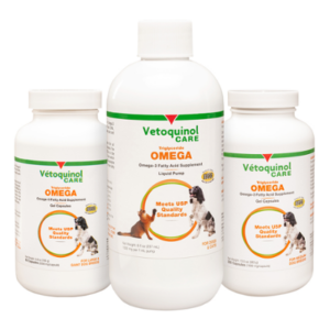 Omega 3 for Cats: Benefits and Supplements | Great Pet Care