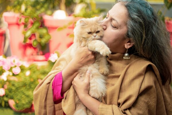 When to Put a Cat Down: 8 Signs a Cat is Dying | Great Pet Care