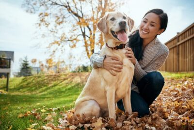 SAMe for Dogs: Benefits and Uses | Great Pet Care