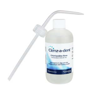 Chlorhexidine for Dogs: Benefits and Uses | Great Pet Care