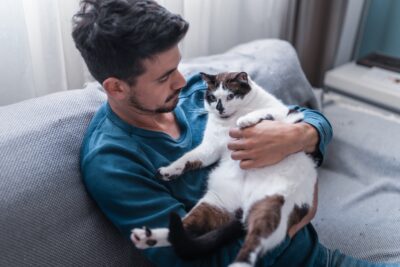 Cat Choking: What to Do and How to Prevent It | Great Pet Care
