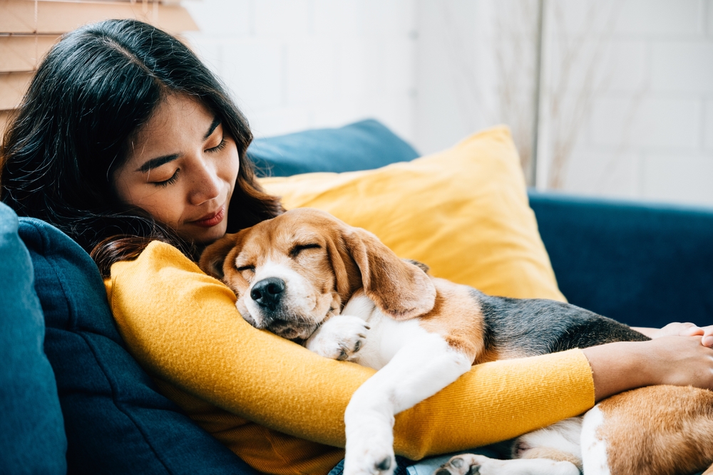 12 Noises That Freak Dogs Out | Great Pet Care