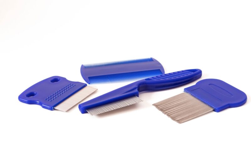 Flea Comb for Cats: How to Use One | Great Pet Care