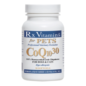 What Is CoQ10 for Dogs? All About This Powerful Antioxidant | Great Pet ...