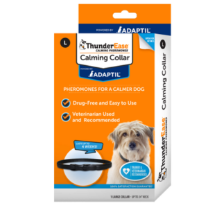 Pheromone Collars for Dogs: Do They Work? | Great Pet Care