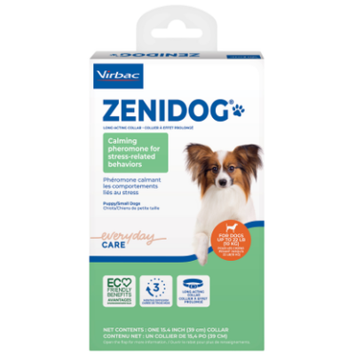 Pheromone Collars for Dogs: Do They Work? | Great Pet Care