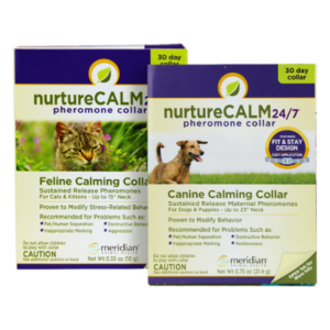 Pheromone Collars for Dogs: Do They Work? | Great Pet Care