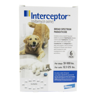 Best Heartworm Prevention for Cats: 5 Vet-Approved Picks | Great Pet Care