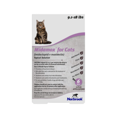 10 Spring Hazards for Pets | Great Pet Care