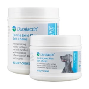 7 Hip and Joint Supplements for Dogs | Great Pet Care