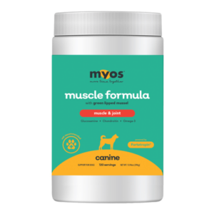 7 Hip and Joint Supplements for Dogs | Great Pet Care