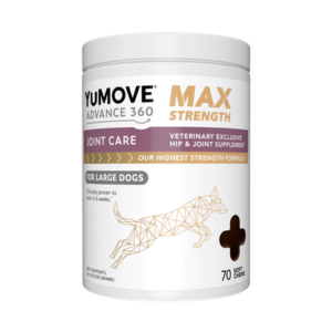7 Hip and Joint Supplements for Dogs | Great Pet Care