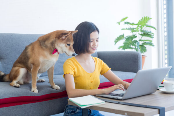 How to Weigh Your Pet at Home | Great Pet Care