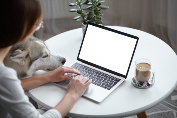 6 Benefits When You Book Vet Appointment Online | Great Pet Care