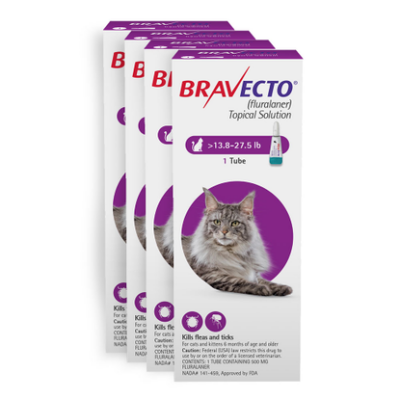 Demodex Mites in Cats (Feline Demodicosis) | Great Pet Care