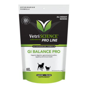 10 Great Sources of Fiber for Dogs | Great Pet Care